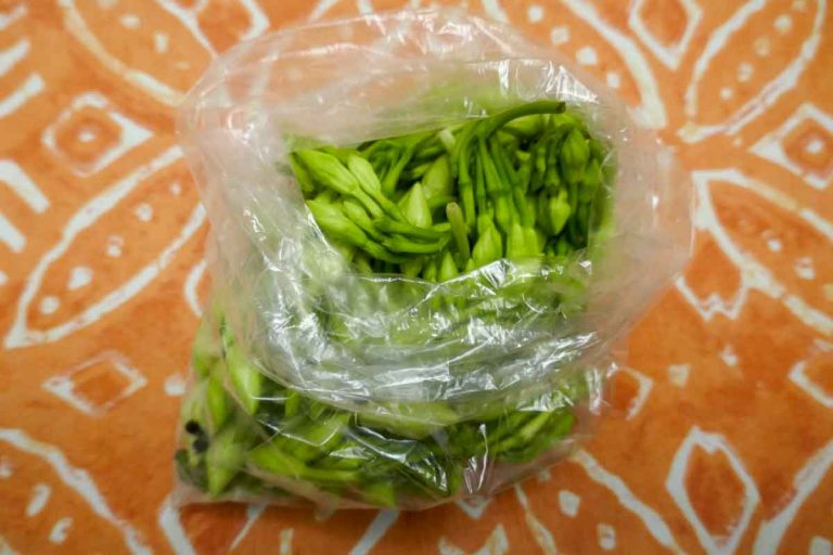 Loroco Facts & Authentic Pupusa Recipe [Salvadoran]