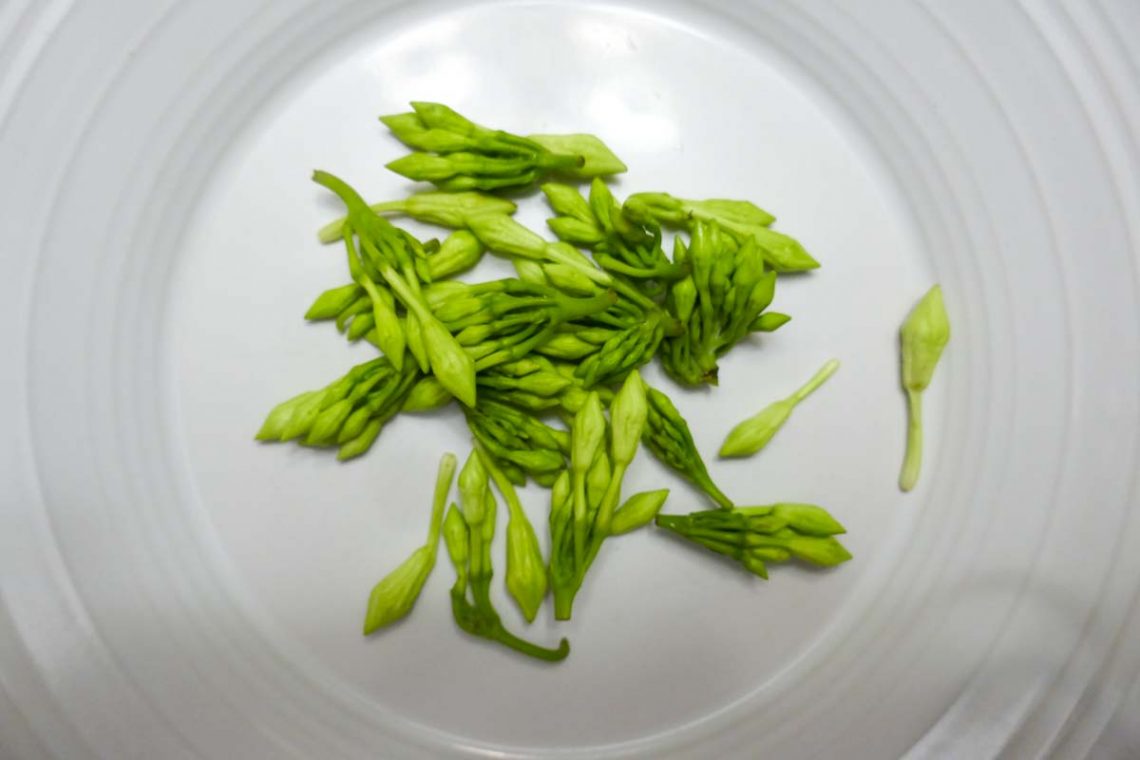 Loroco Facts & Authentic Pupusa Recipe [Salvadoran]