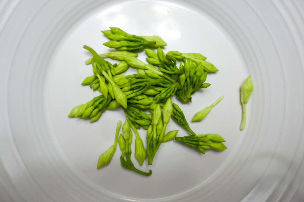 Loroco Facts & Authentic Pupusa Recipe [Salvadoran]